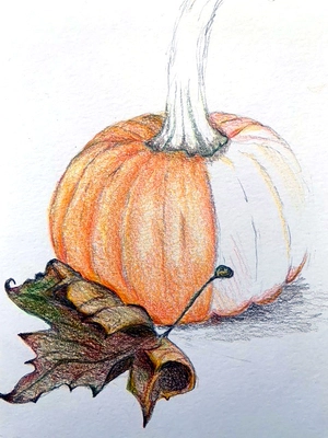 nature things drawing