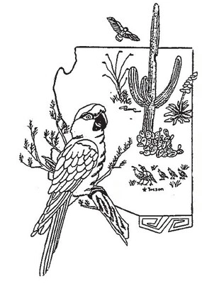 arizona state bird coloring page