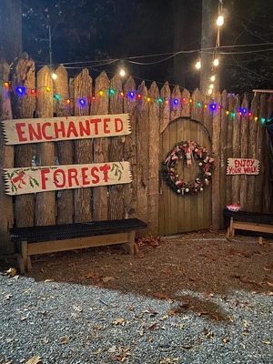 enchanted forest display